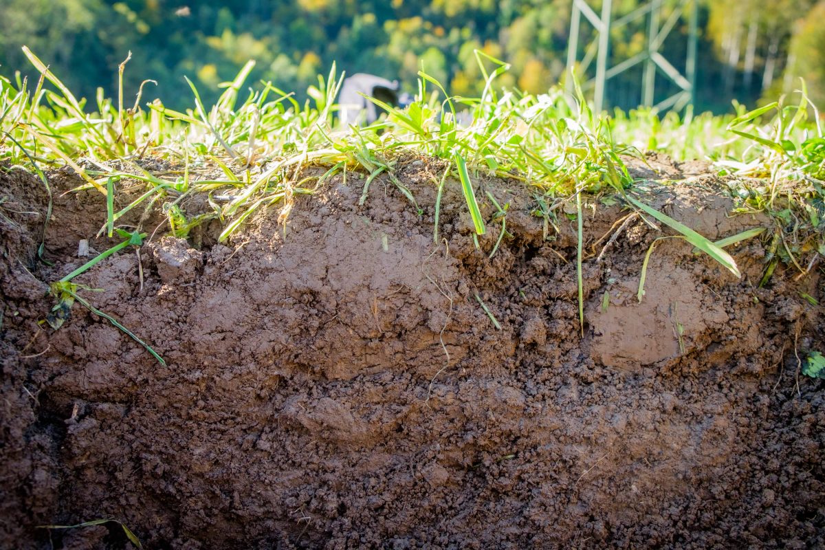 Durch Humusaufbau den Boden unter den Füssen nicht verlieren - Eat Grow ...